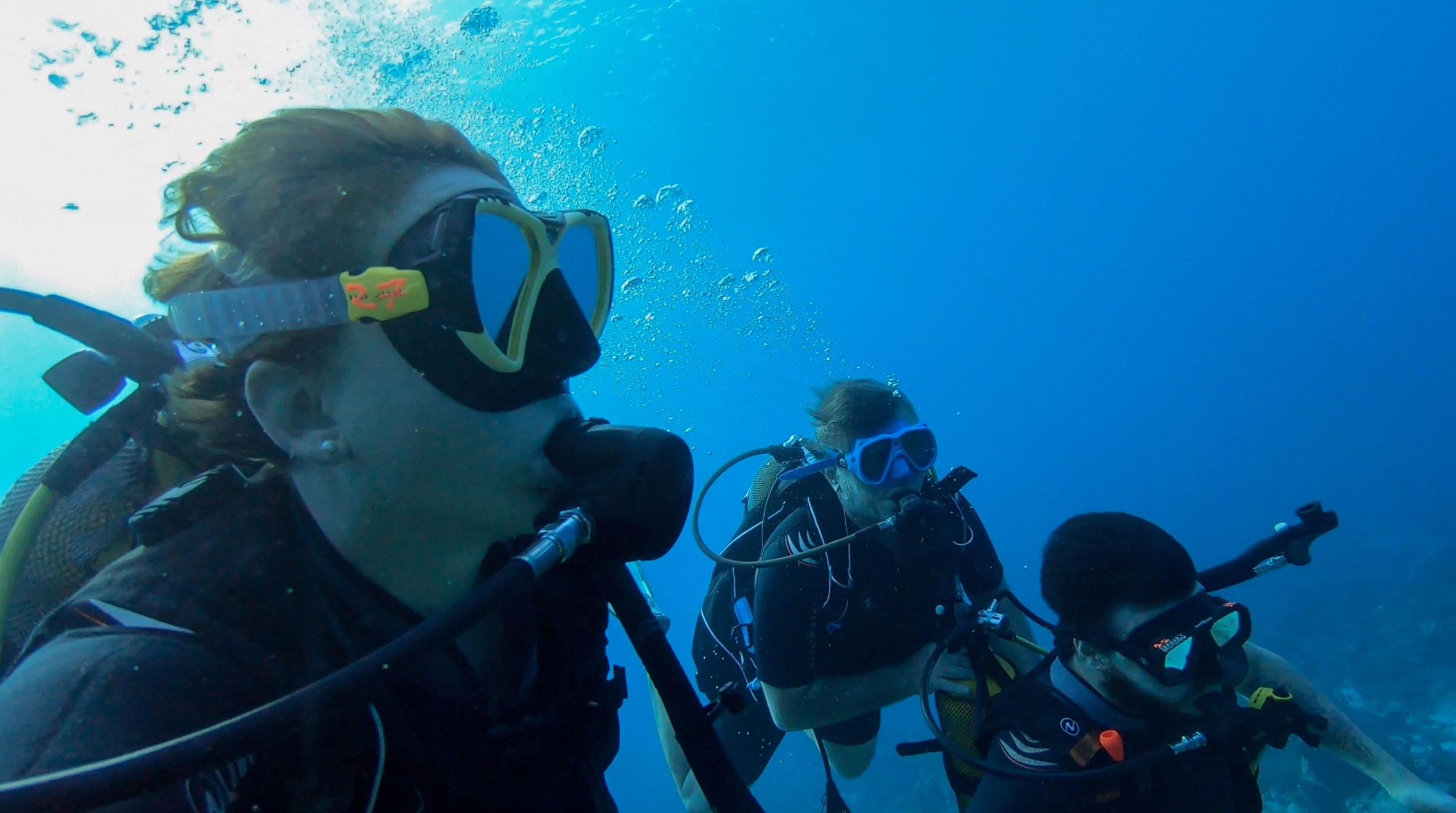 Plongée dans les coraux de la côte caraïbes – Martinique, France ...